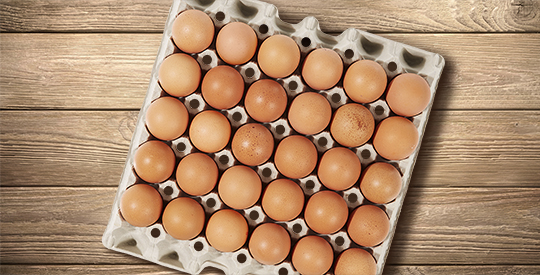 Egg Trays - Hartmann World