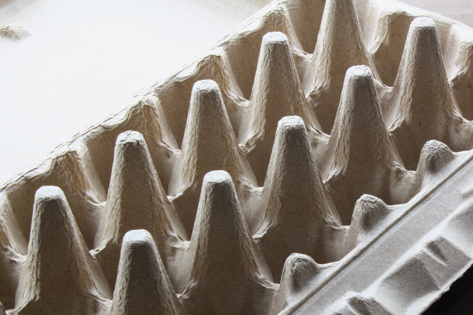 Frontpage - Hartmann World